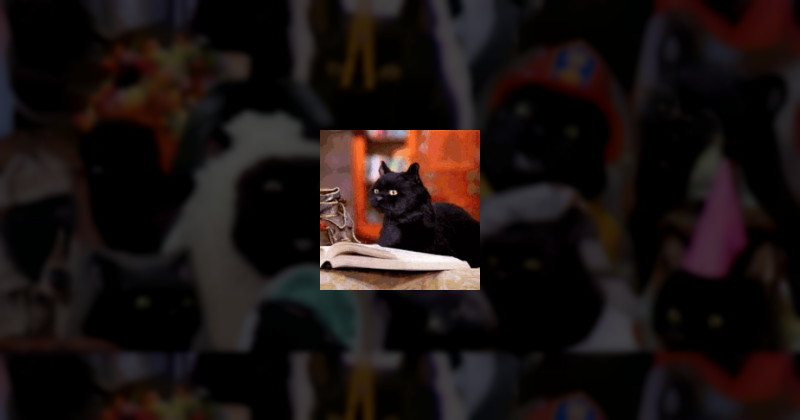 Sticker Maker - Salem Cat