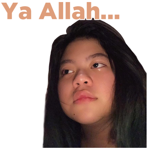 Sticker Maker - Salma