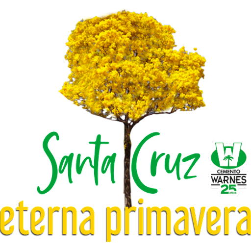 Sticker Maker - Santa Cruz