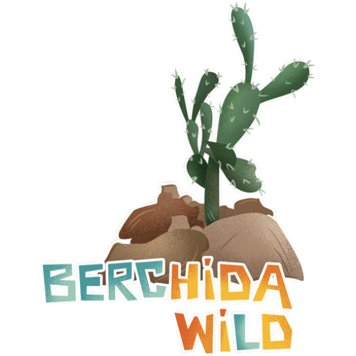 Sticker Maker - Sardinian beach