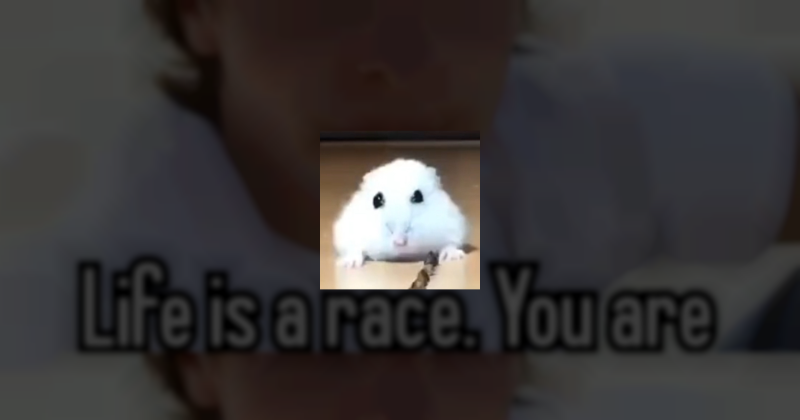 Sticker Maker - SAY GEX PLUS ULTRA MAX