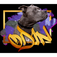 Sticker Maker - SED