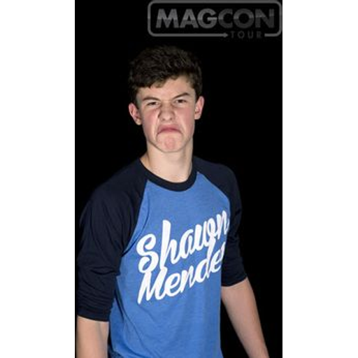 Sticker Maker - shawn mendes is my husbandd
