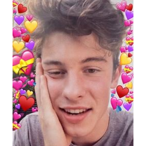 Sticker Maker - shawn mendes is my husbandd