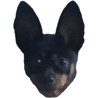 Sticker Maker - Shela