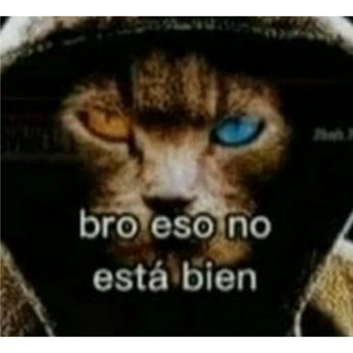 Sticker Maker - Shitpost (17)