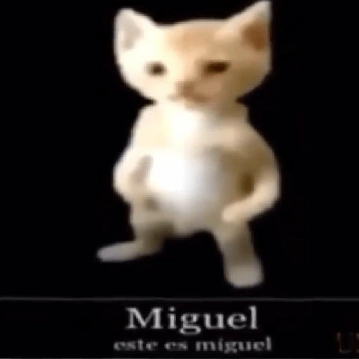 Sticker Maker - shitpost 2