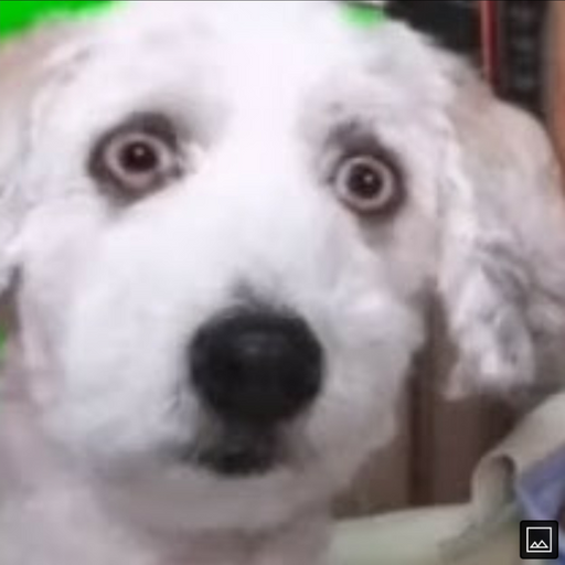 Sticker Maker - Shitpost (5)