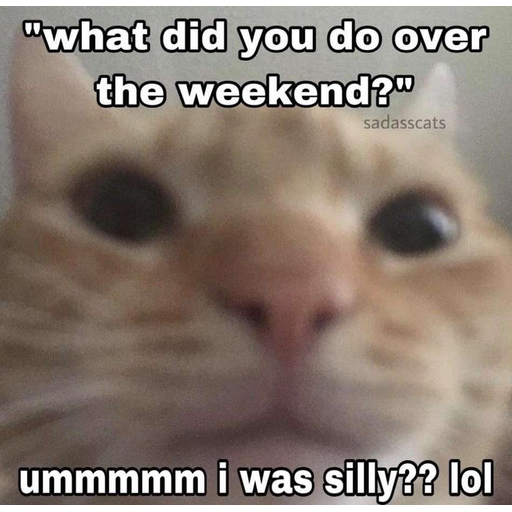 Sticker Maker - silly cats