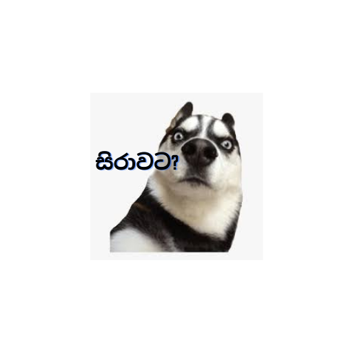 Sticker Maker - sinhala memes 2021