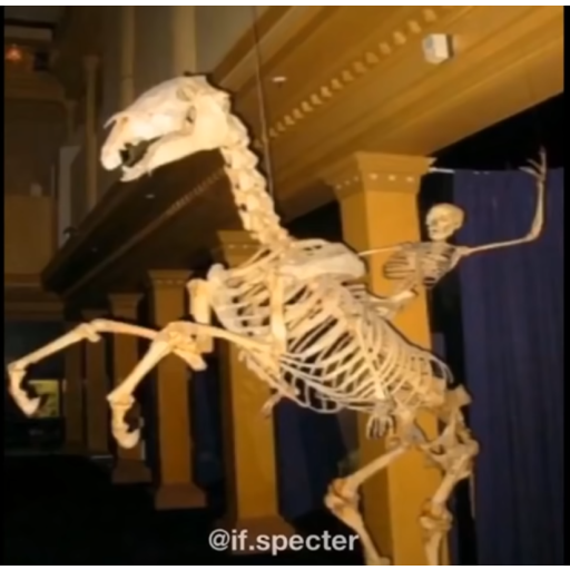 Sticker Maker - Skeletons 1