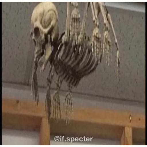 Sticker Maker - Skeletons 2