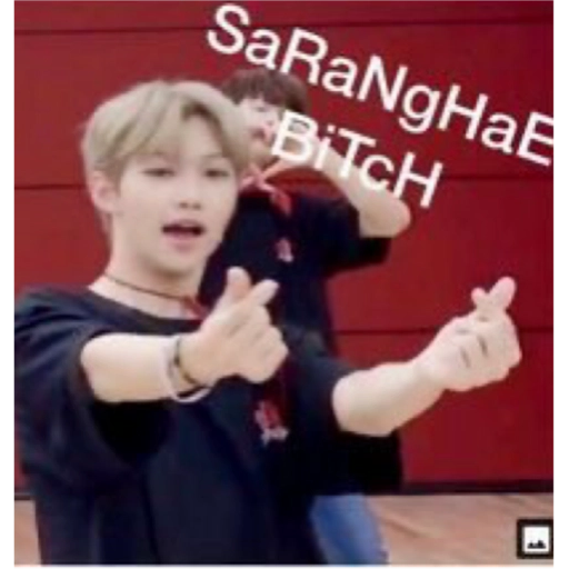 Sticker Maker - skz