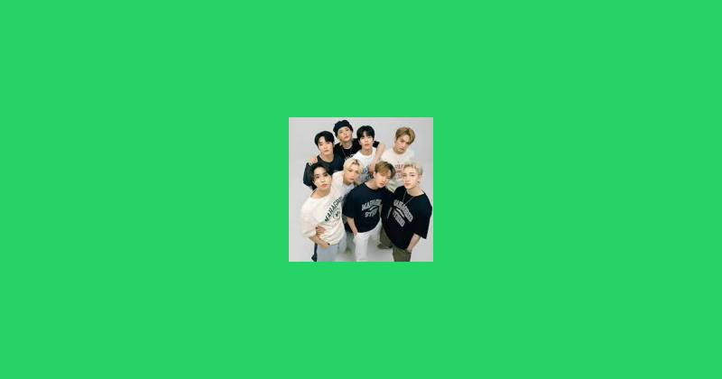 Sticker Maker - Skz