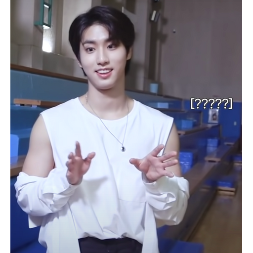 Sticker Maker - SKZ (?)