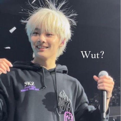 Sticker Maker - SKZ (?)