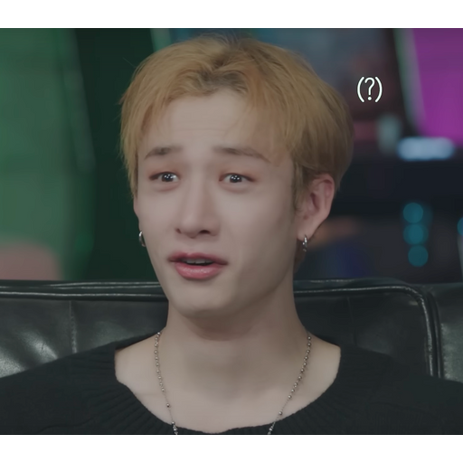 Sticker Maker - SKZ (?)