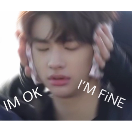 Sticker Maker - skz 2