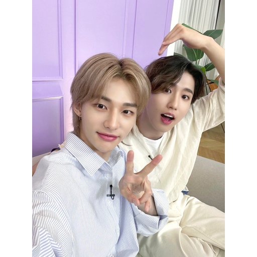 Sticker Maker - SKZ (cute)