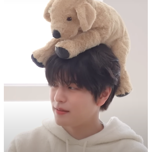 Sticker Maker - SKZ (cute)