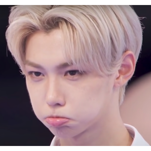 Sticker Maker - SKZ (Done)