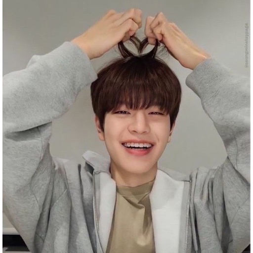 Sticker Maker - SKZ (heart)
