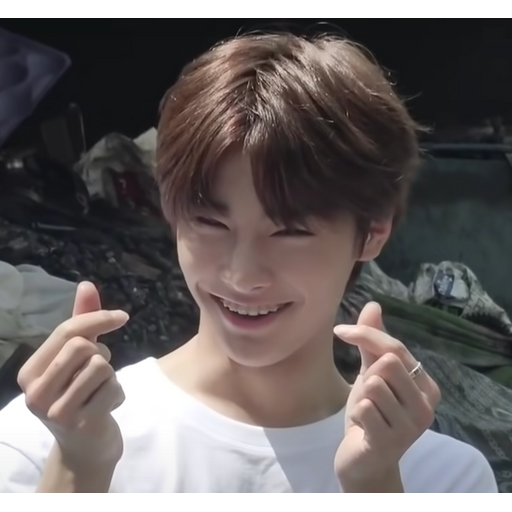 Sticker Maker - SKZ (heart)