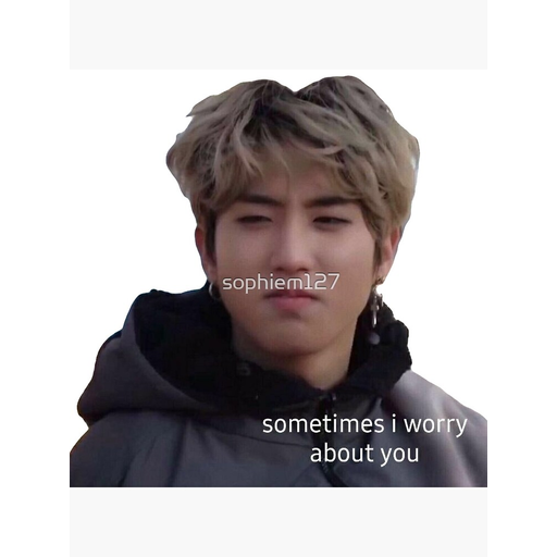 Sticker Maker - Skz memes
