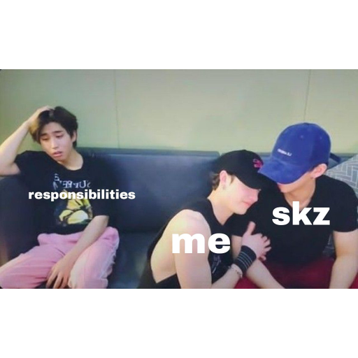 Sticker Maker - Skz memes