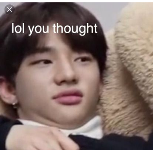 Sticker Maker - skz memes