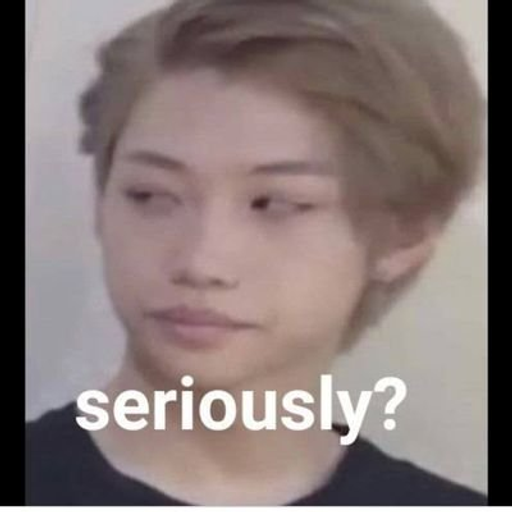 Sticker Maker - skz memes