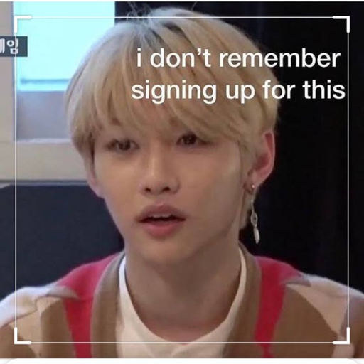 Sticker Maker - skz memes
