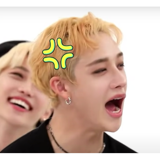 Sticker Maker - SKZ (mad)