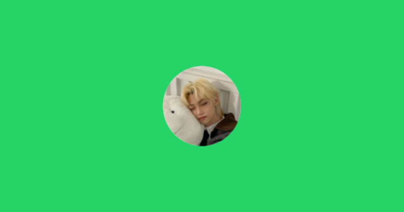 Sticker Maker - SKZ vol:2