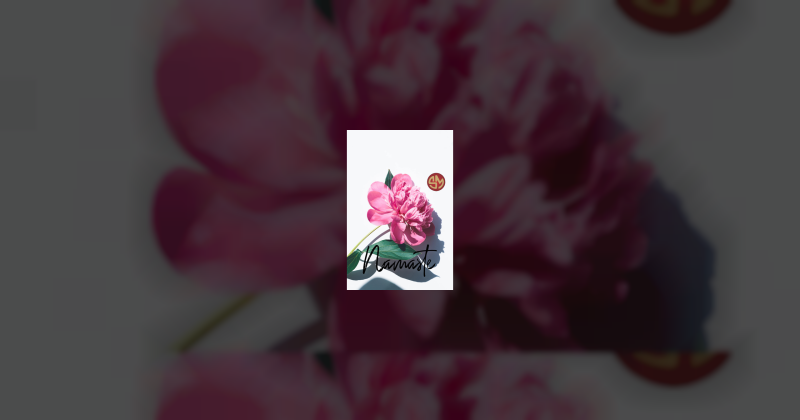 Sticker Maker - SM Life