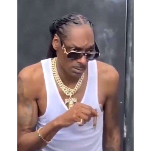 Sticker Maker - Snoop Mood Pics