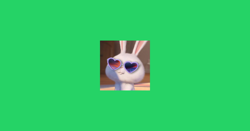 Sticker Maker - Snowball ️🐰 ️