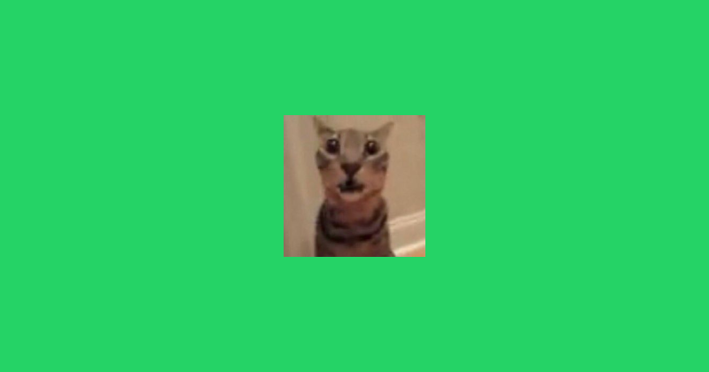 Sticker Maker - sock