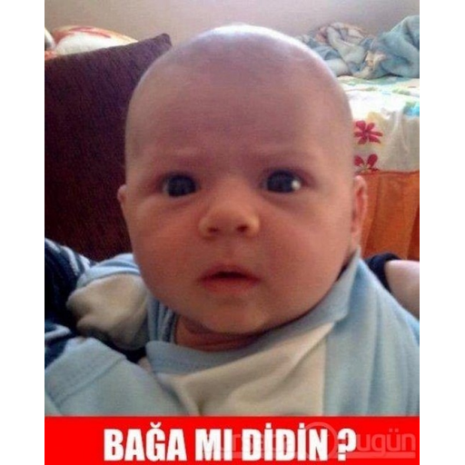 Sticker Maker - ssssssss