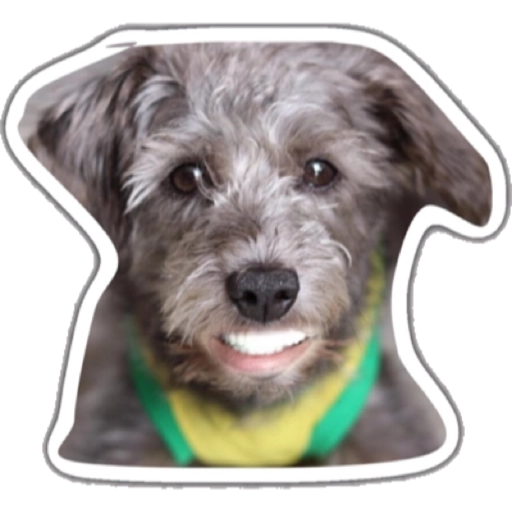 Sticker Maker - Stark