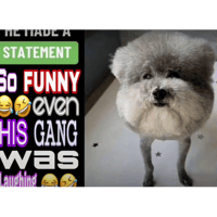Sticker Maker - statements