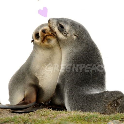 Sticker Maker - Stickers Greenpeace