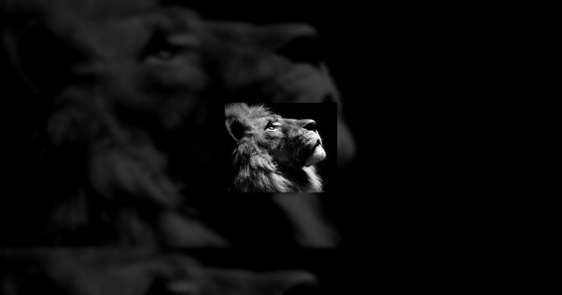 Sticker Maker - Stiker Meme