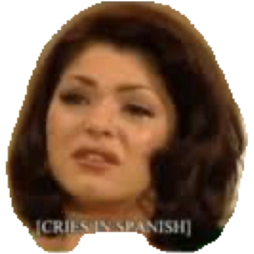 Sticker Maker - Stockers