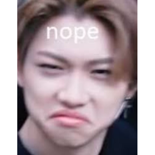 Sticker Maker - Stray kids memes
