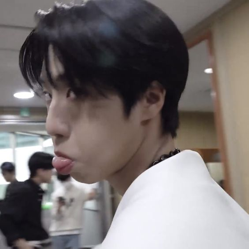 Sticker Maker - Stray kids - mostly Han