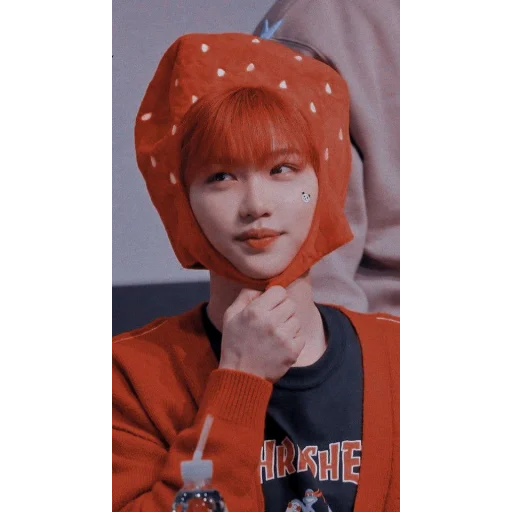 Sticker Maker - Stray Kids №11