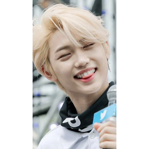 Sticker Maker - Stray Kids №11