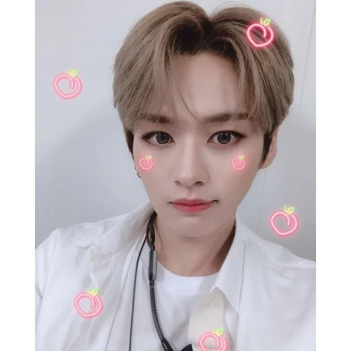 Sticker Maker - Stray Kids №13