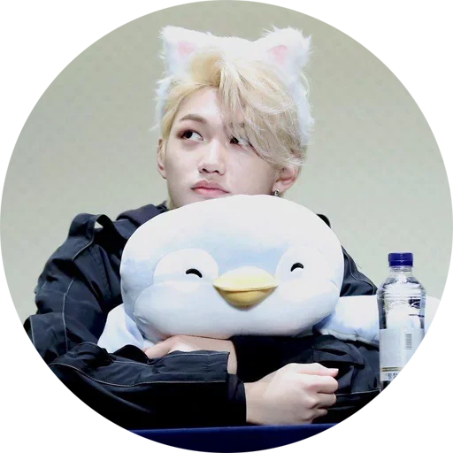 Sticker Maker - Stray Kids №13